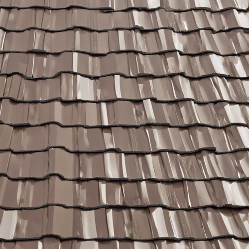 EcoShield Cool Roofing | Solid Green Builders