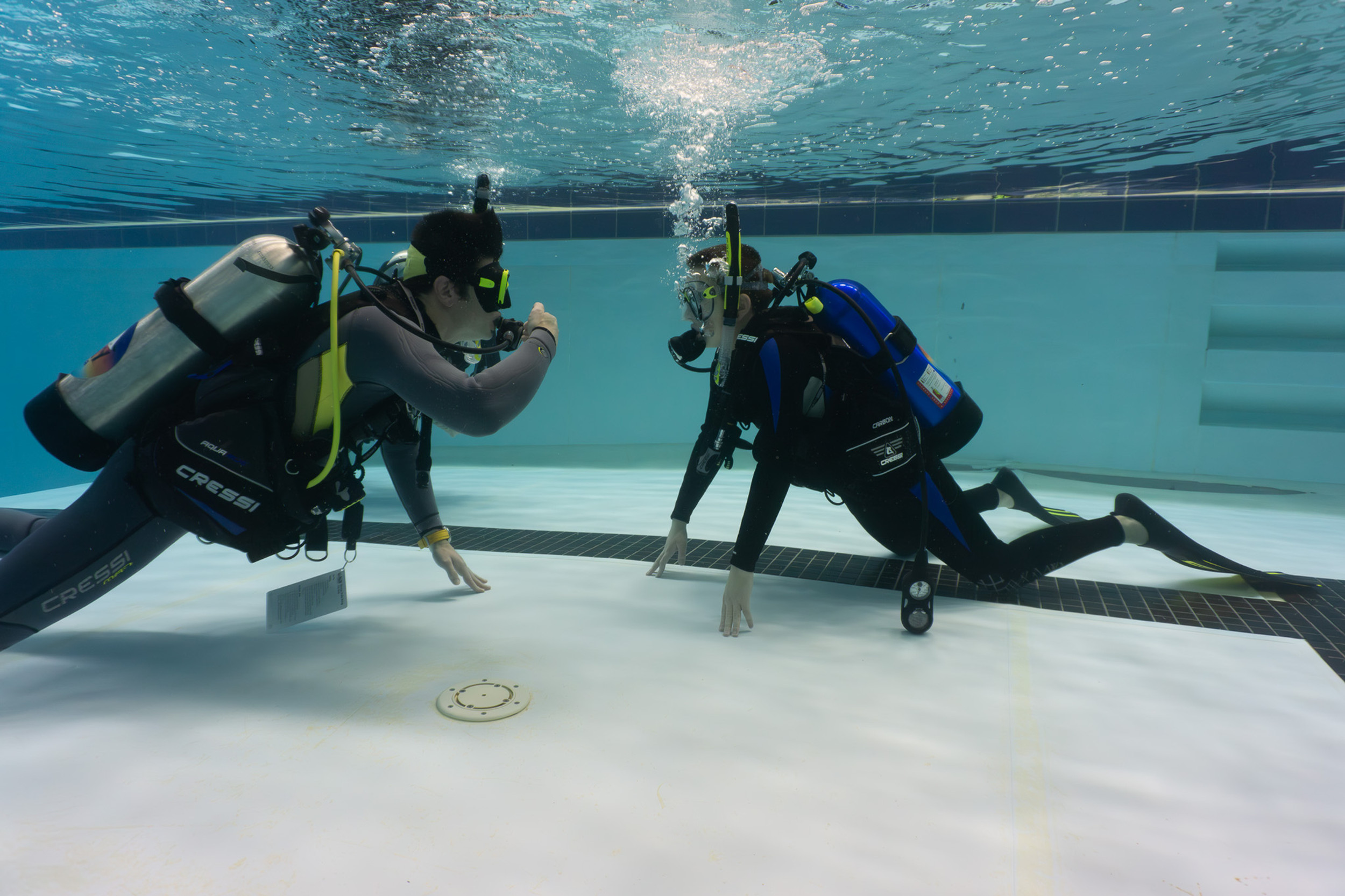 PADI Seal Team | Ray Scuba Diving