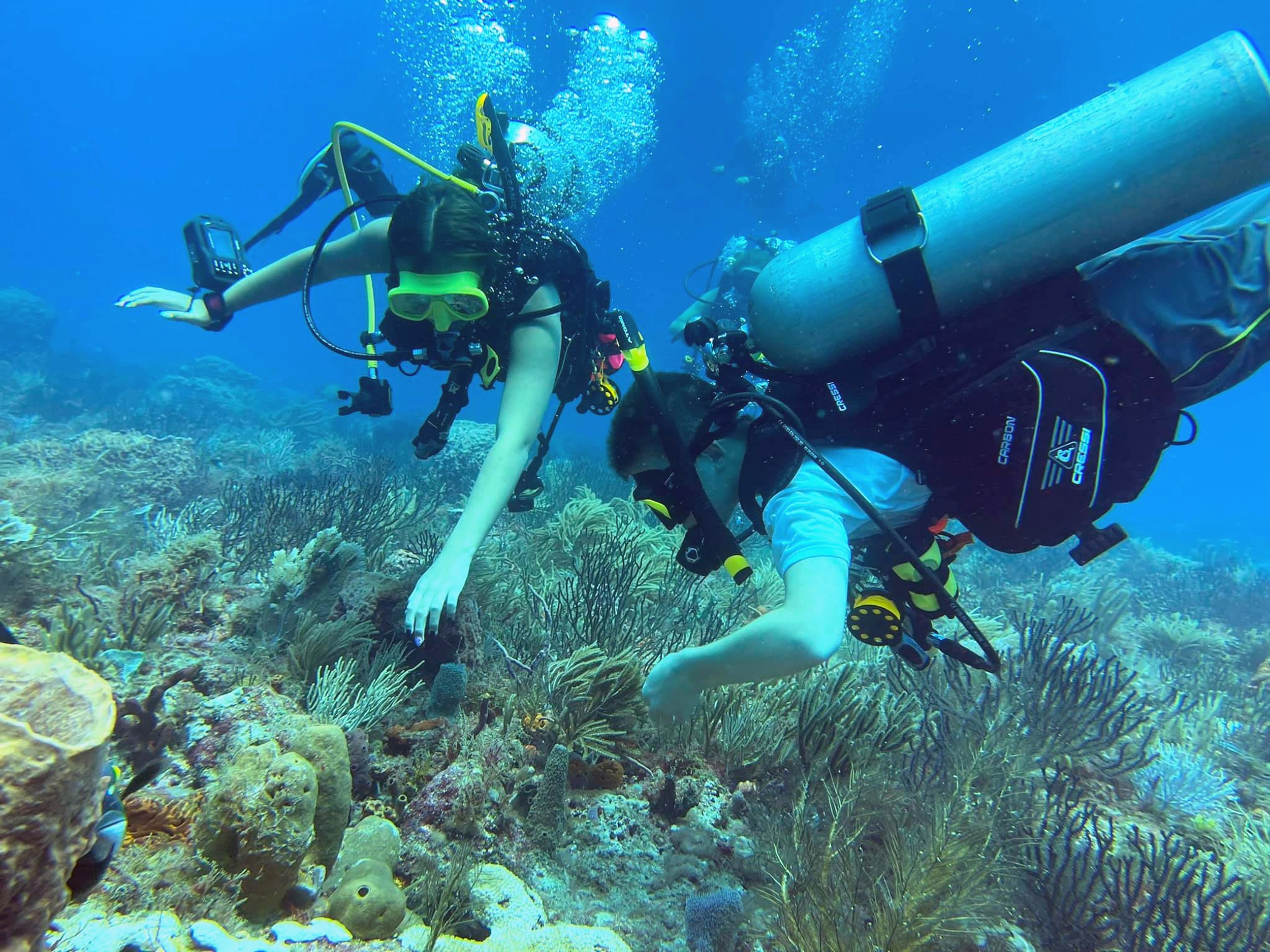 Youth Programs | Ray Scuba Diving