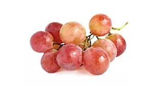 Vitis vinifera - 'Red Globe' Grape | gsnursery