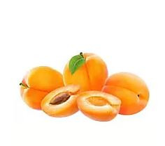 Prunus armeniaca - 'Bulida' Apricot | gsnursery