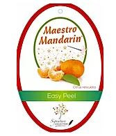 Citrus reticulata - 'Maestro' Mandarin | gsnursery