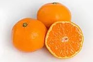 Citrus reticulata - 'Hickson' Mandarin | gsnursery
