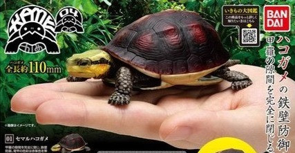 IKIMONO ENCYCLOPEDIA - KAME (TURTLE) 04 | Yot Corp