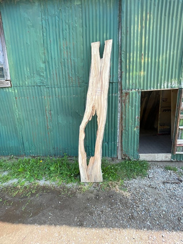 Spalted Maple Resin Slab | Big Ass Slabs