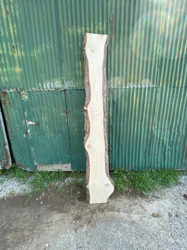 Spruce Slab | Big Ass Slabs