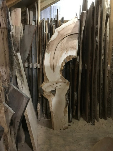 Curved Maple Slab | Big Ass Slabs