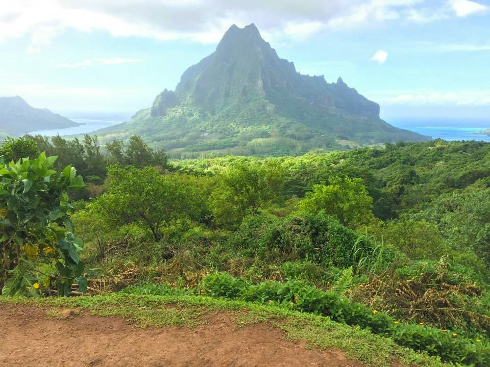 Hiking in Moorea, French Polynesia