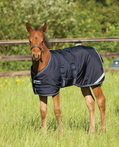 HWI Amigo Adjustable Foal Rug 200g - CLOSEOUT | DK Tack and Supply