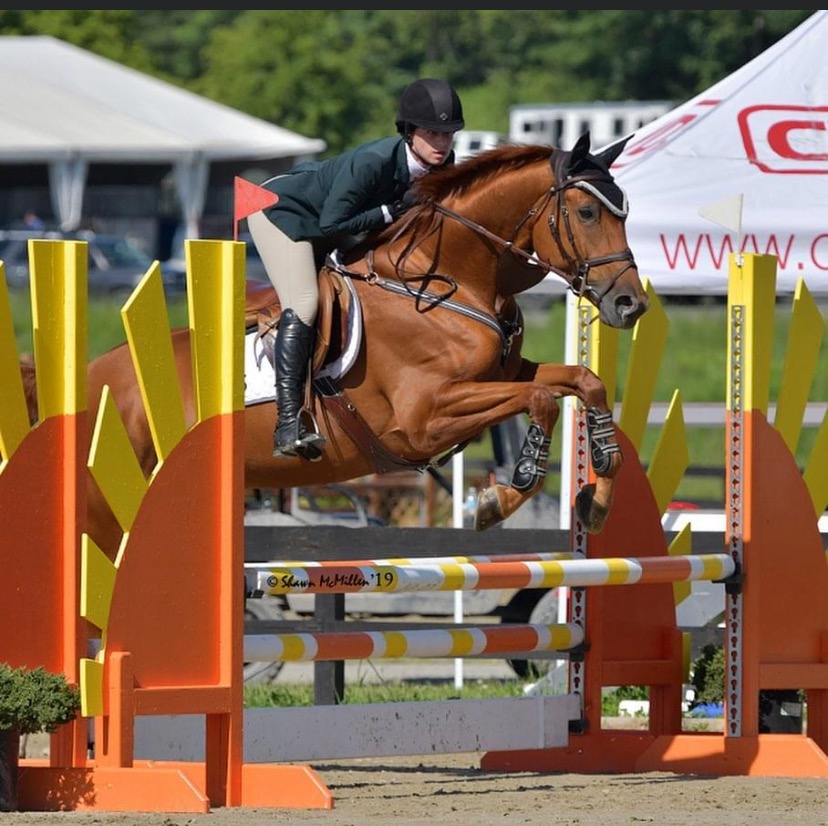 Home | Rhiannon Equestrian