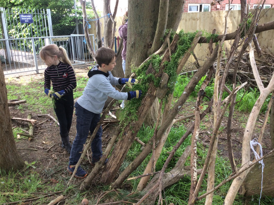 Forest School | conifers-school