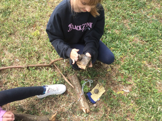 Forest School | conifers-school