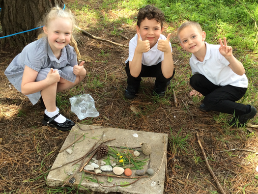 News | conifers-school