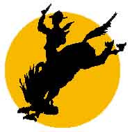 436th Bomb Squadron | Mysite