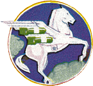 410th Bomb Squadron Leather Patch | Mysite