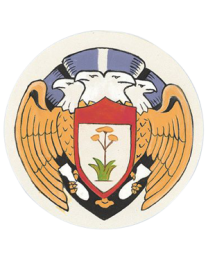 100th Bomb Group Leather Patch | Mysite