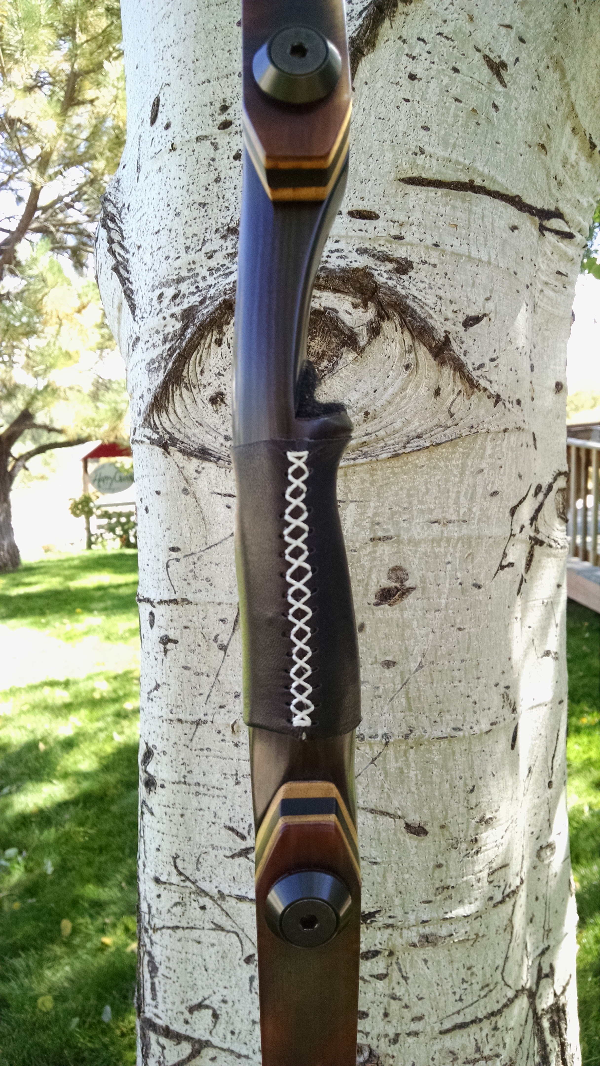 Home | Poison Dart Bows