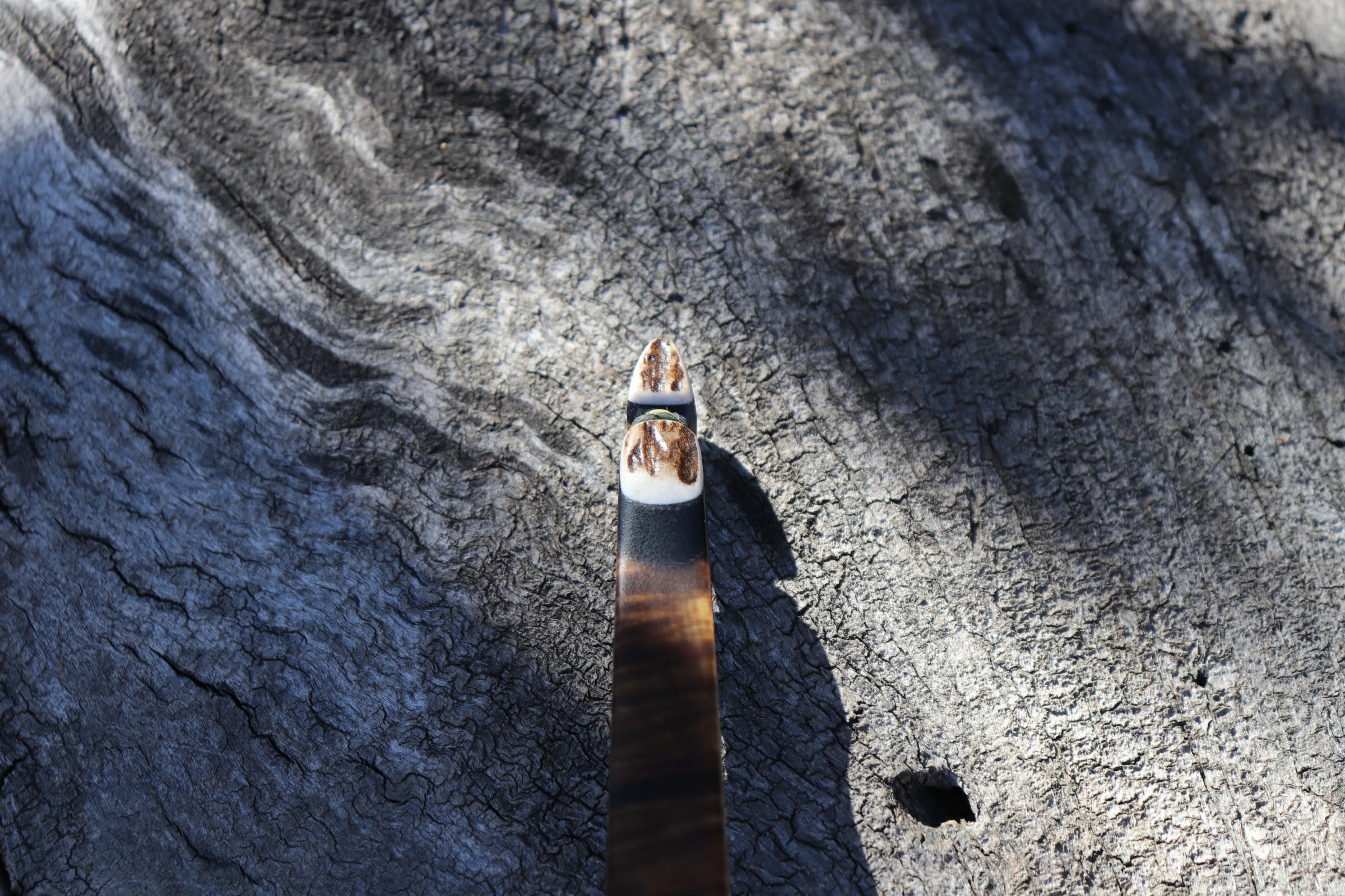 Home | Poison Dart Bows