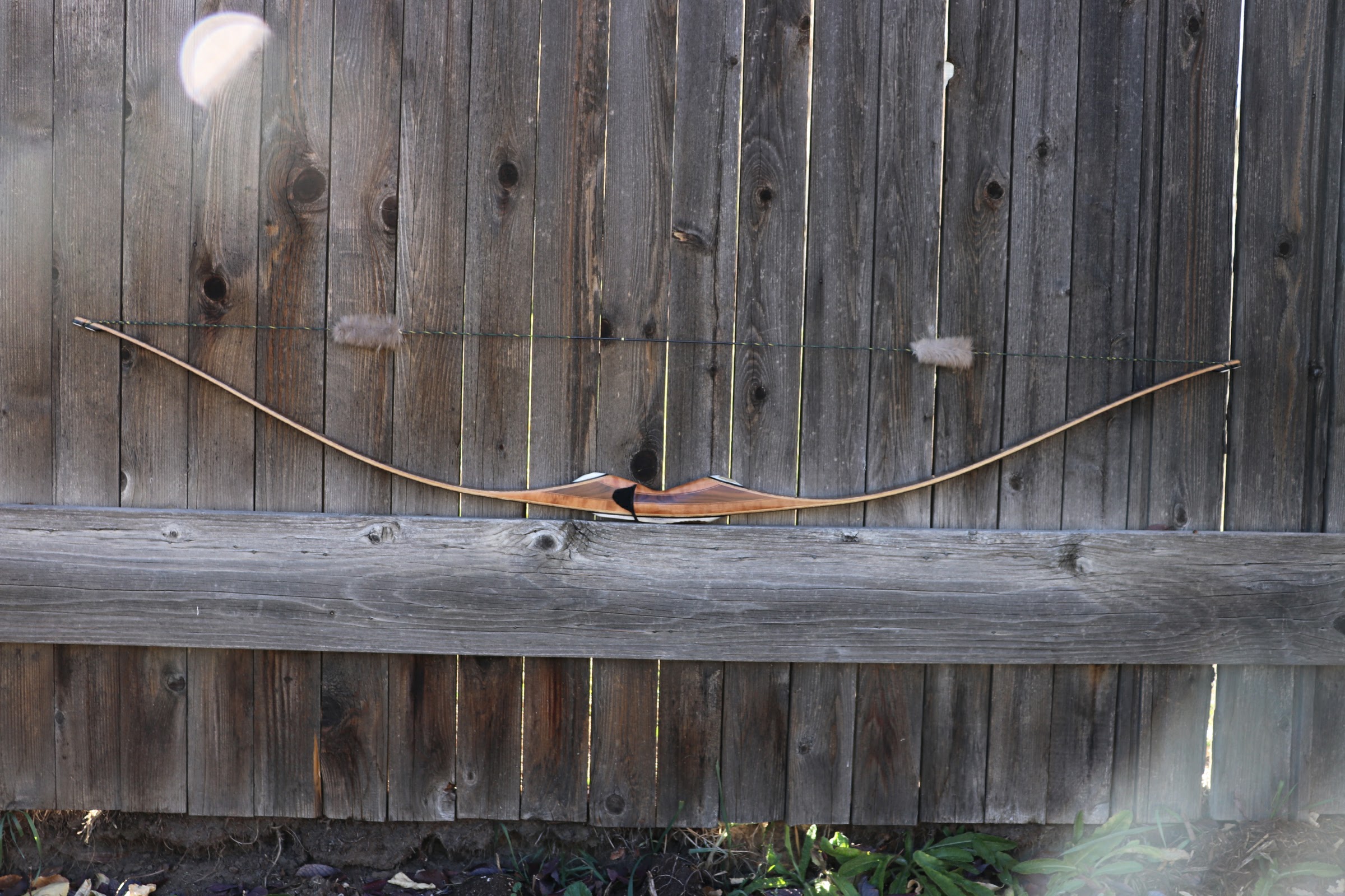 Home | Poison Dart Bows