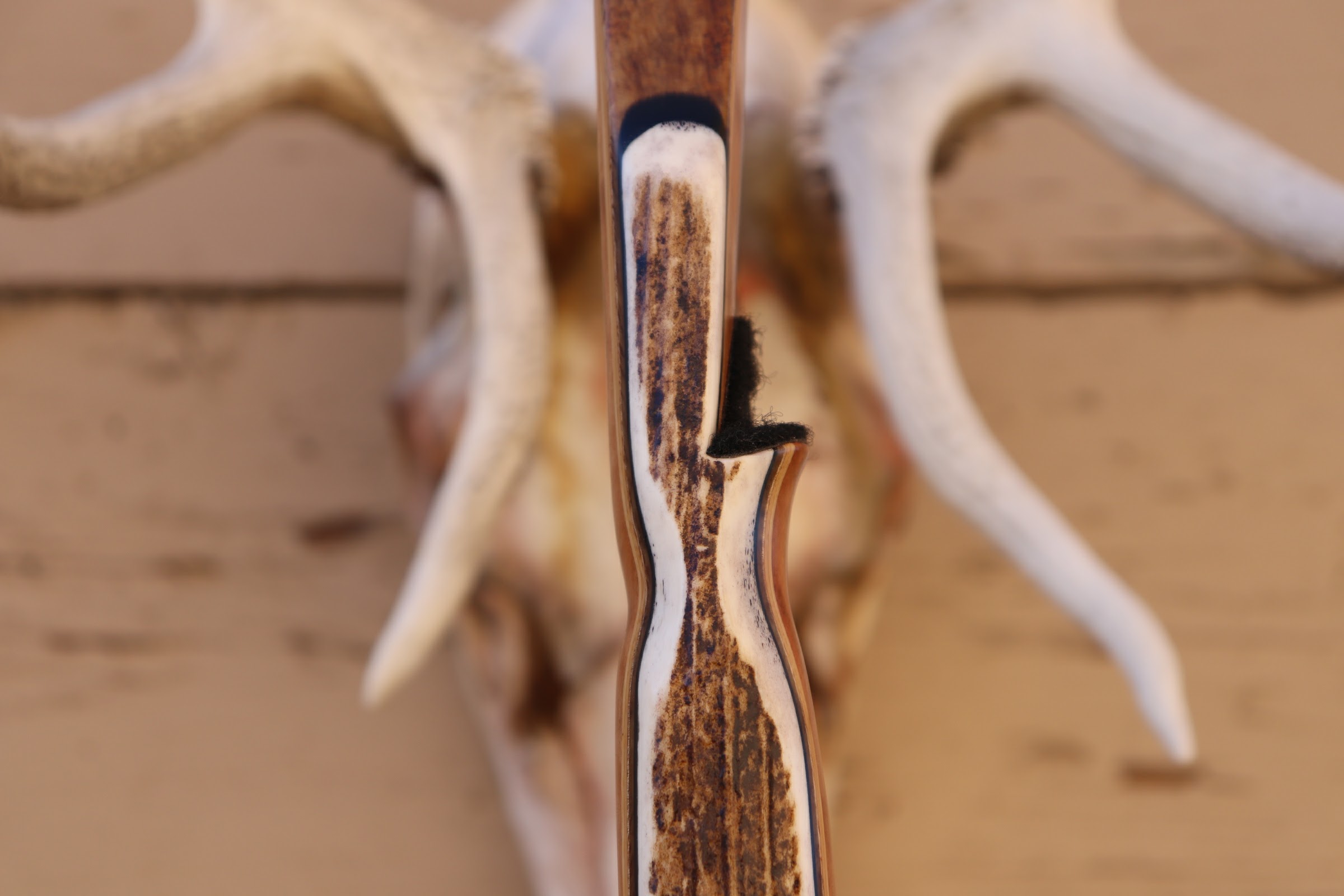 Home | Poison Dart Bows