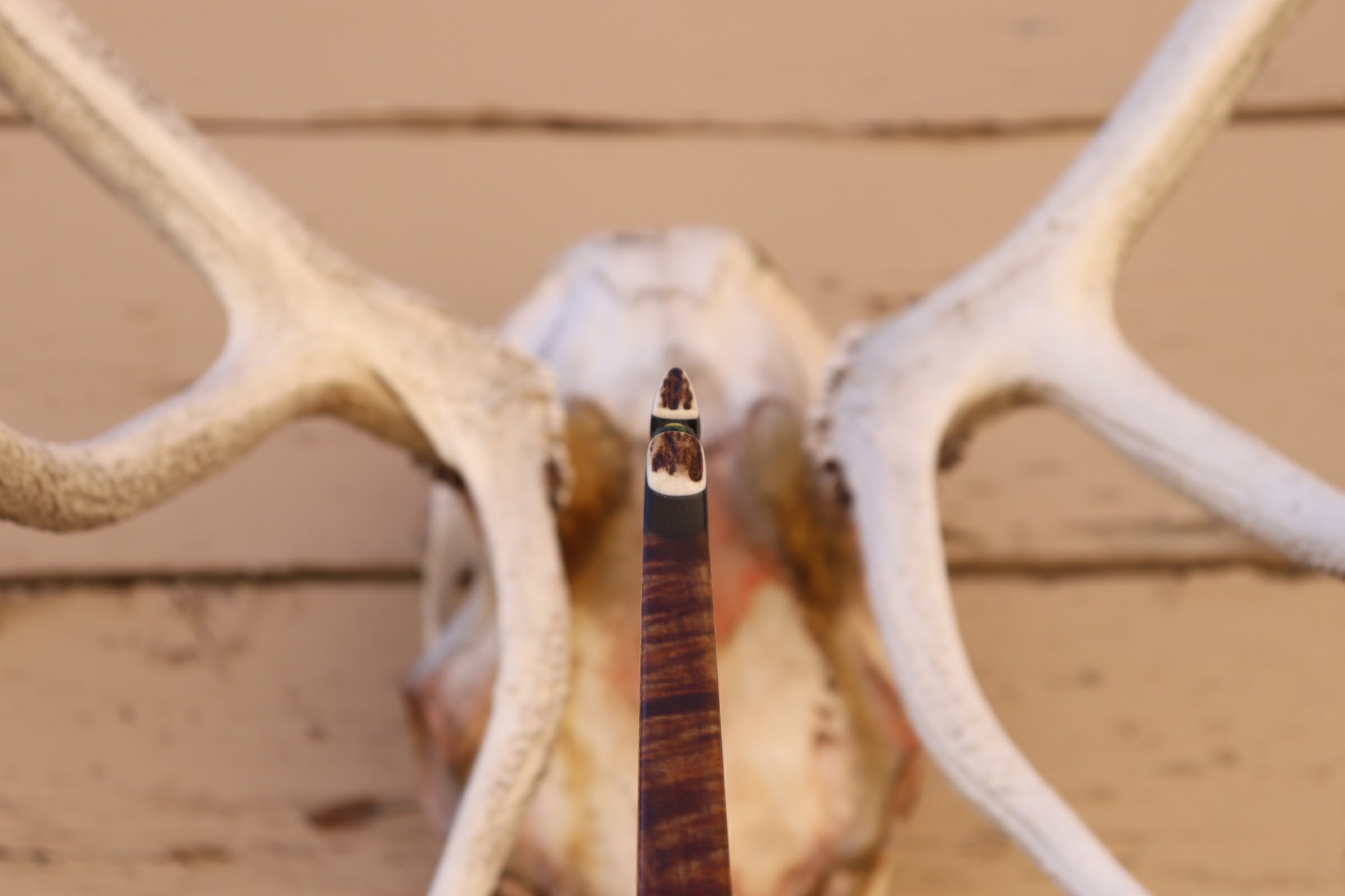 Home | Poison Dart Bows