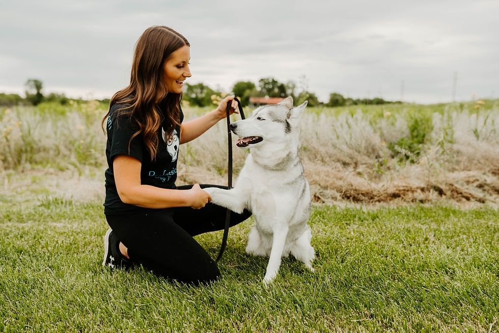 Columbus, Ohio Dog Trainer | professionalpups | Dog Training ... Columbus, Ohio Dog Trainer | professionalpups | Dog Training ...