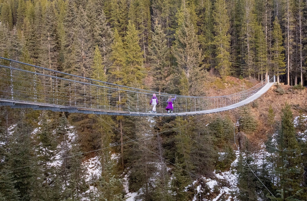 The Blackshale Suspension Bridge Hike (via Black Prince) in Kananaskis