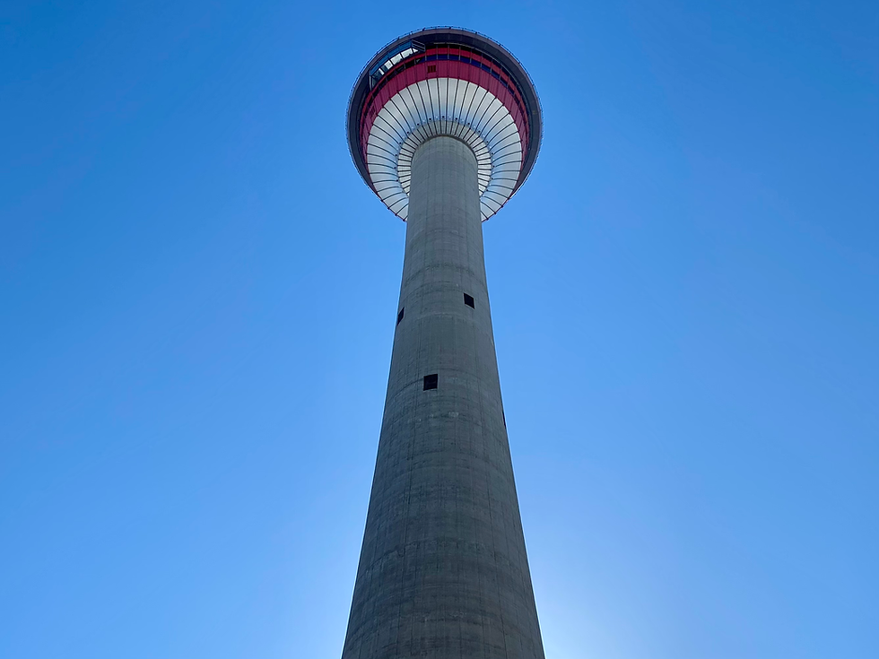 The 40 Best Things to do in Calgary (a Locals Guide)