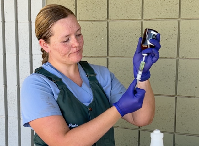 Managing medication inventory