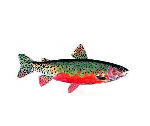 Trout - Green | Just One Miracle