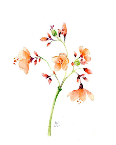 Bahama Tree | Just One Miracle