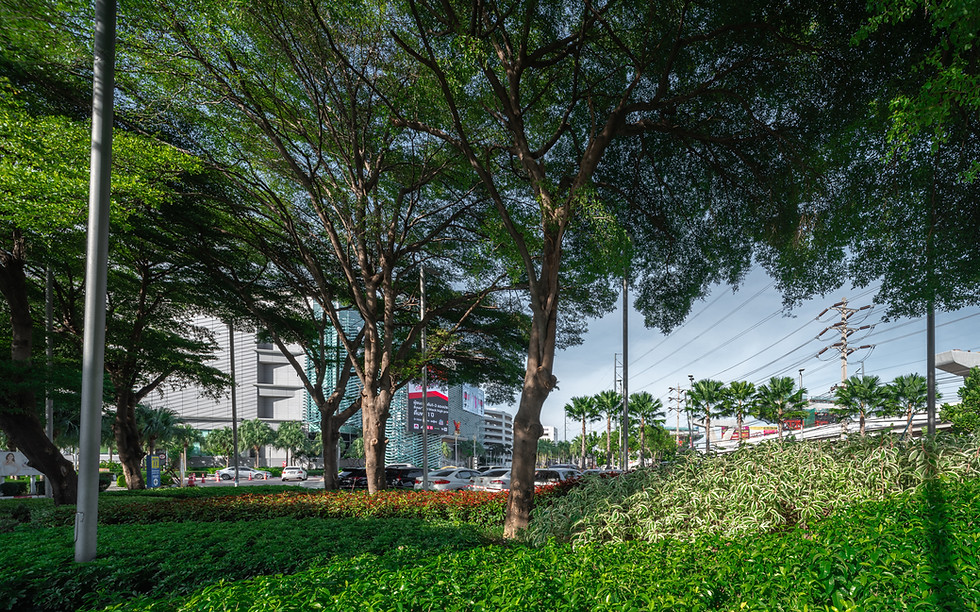 LA 224 CENTRAL RAMA 2 | archive