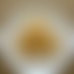 Maid Cafe | Asayoru Maid Cafe