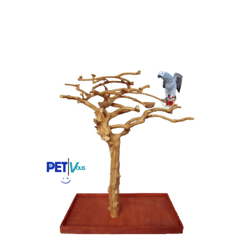 48"x24"x66" Java Wood Tree | PETVous