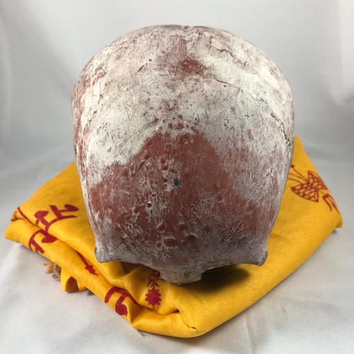 Aghori kapala (human child partial skull) | City Alchemist