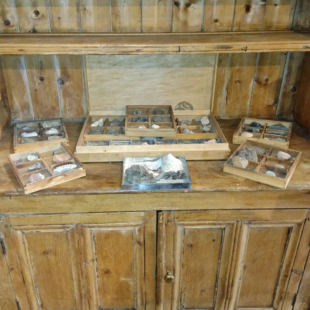 Edwardian Era Geology Collection | Black Sheep Antiques