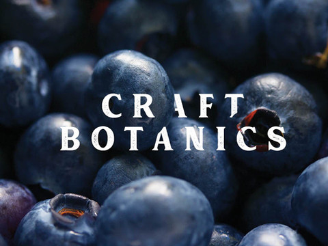 Arterie Studio | Branding Jakarta