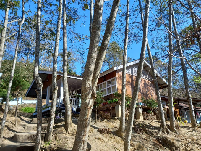 Mishmi Takin Homestay: An Unforgettable Cultural Expedition