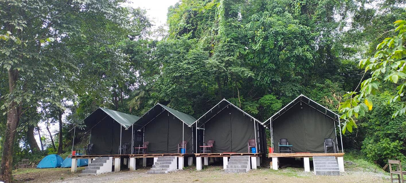 Frogmouth Resort Roing – A Birdwatcher's Haven in Arunachal Pradesh