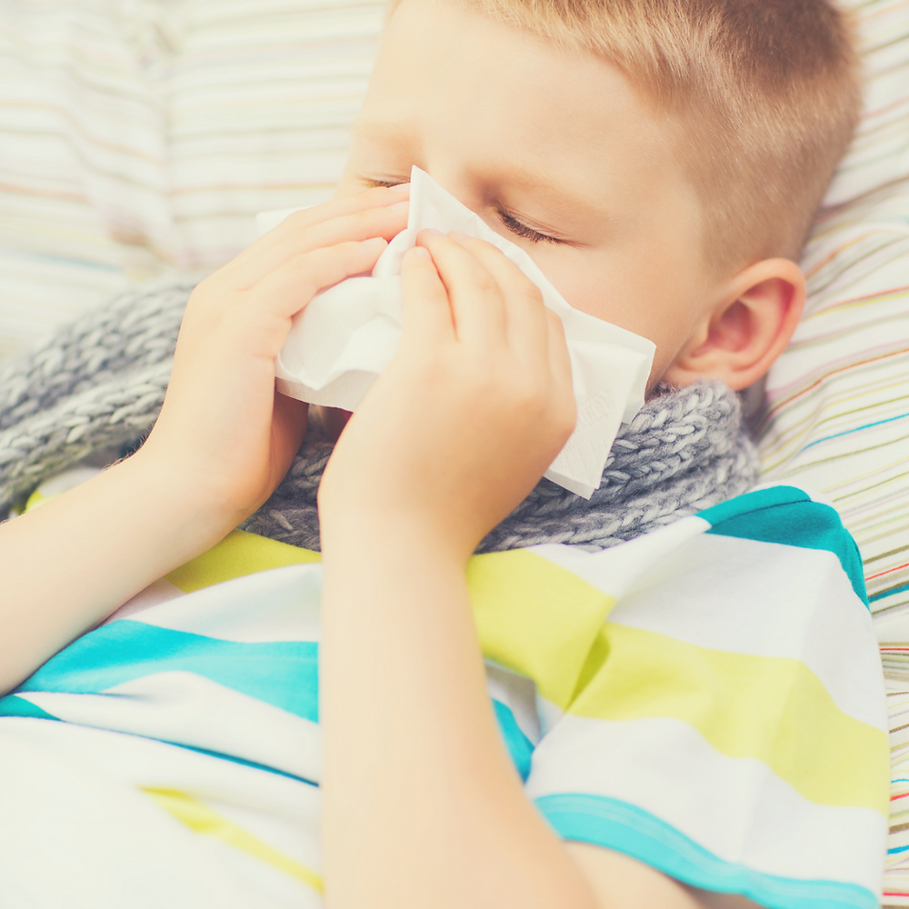 Spring, Summer, Fall, and Flu
