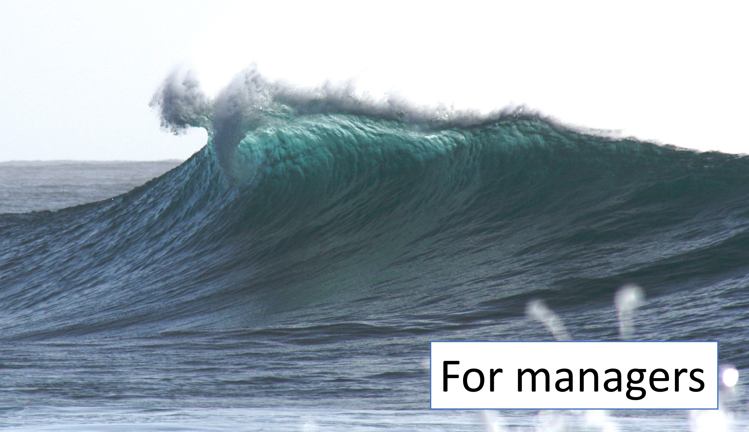 keynote Surfing the waves of changes