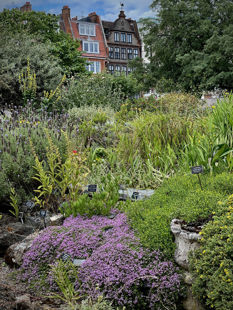 Gemini visit to Chelsea Physic Garden