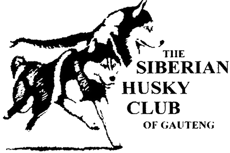 The Siberian Husky Club of Gauteng | Siberian Huskies