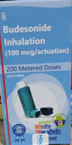 Like Budecort 100 , Budesonide inhaler 100 MCG,200 MDI | API GENERIC ...