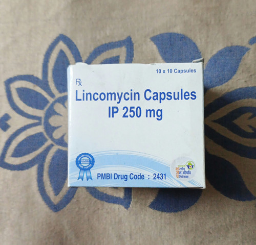 LINCOMYCIN 250 MG, 10 CAPSULES | API GENERIC PHARMACY