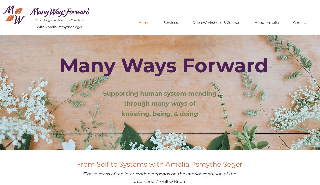 Systemic and Family Constellations | Many Ways Forward