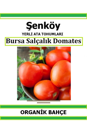 Şenköy Bursa Salçalık Domates Tohumu Yerli Ata Tohum Pakette 30 Tohum ...