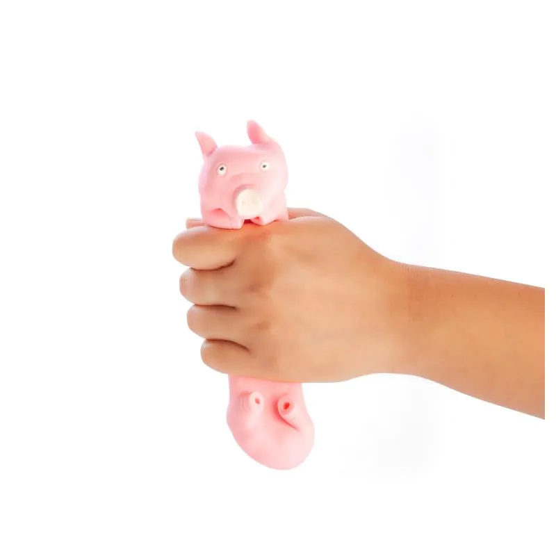 Squeezy Stretchy Pig | Sensory Playground| 3.99