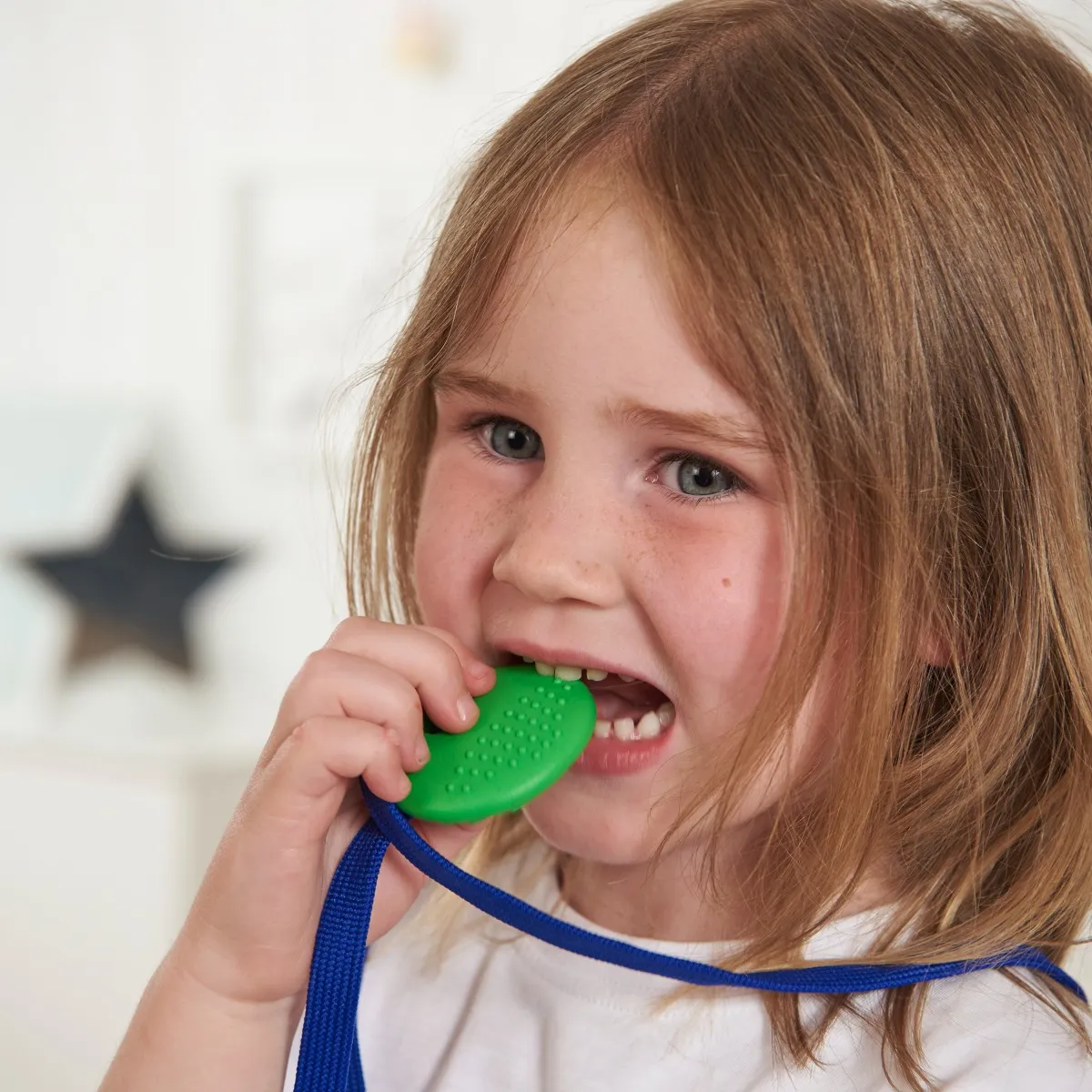Chewbuddy Disk and Lanyard | Sensory Playground| 7.49