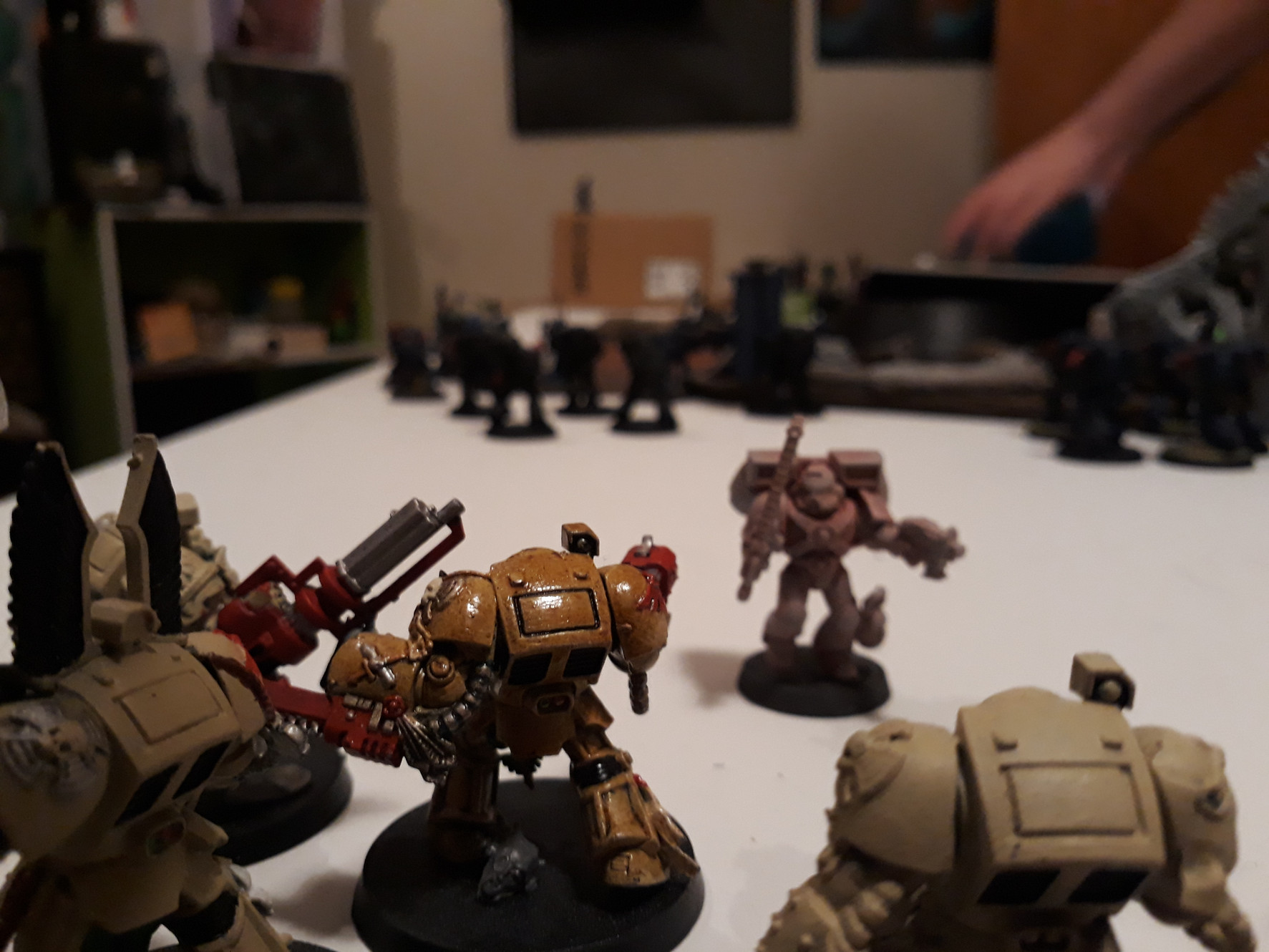 Whangahammer New Zealand